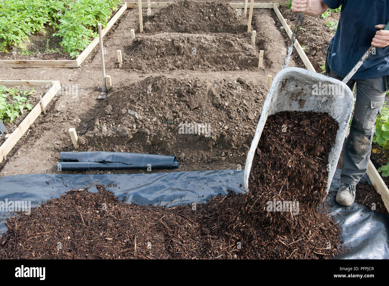 Chipped bark hi-res stock photography and images - Alamy