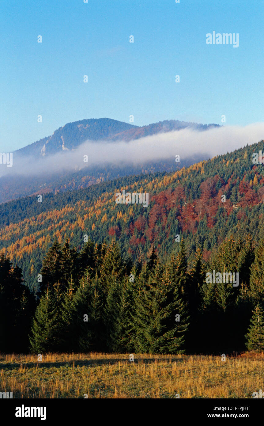 Slovakia, Central Slovakia, Zuberec, view of Rohace mountains in ...