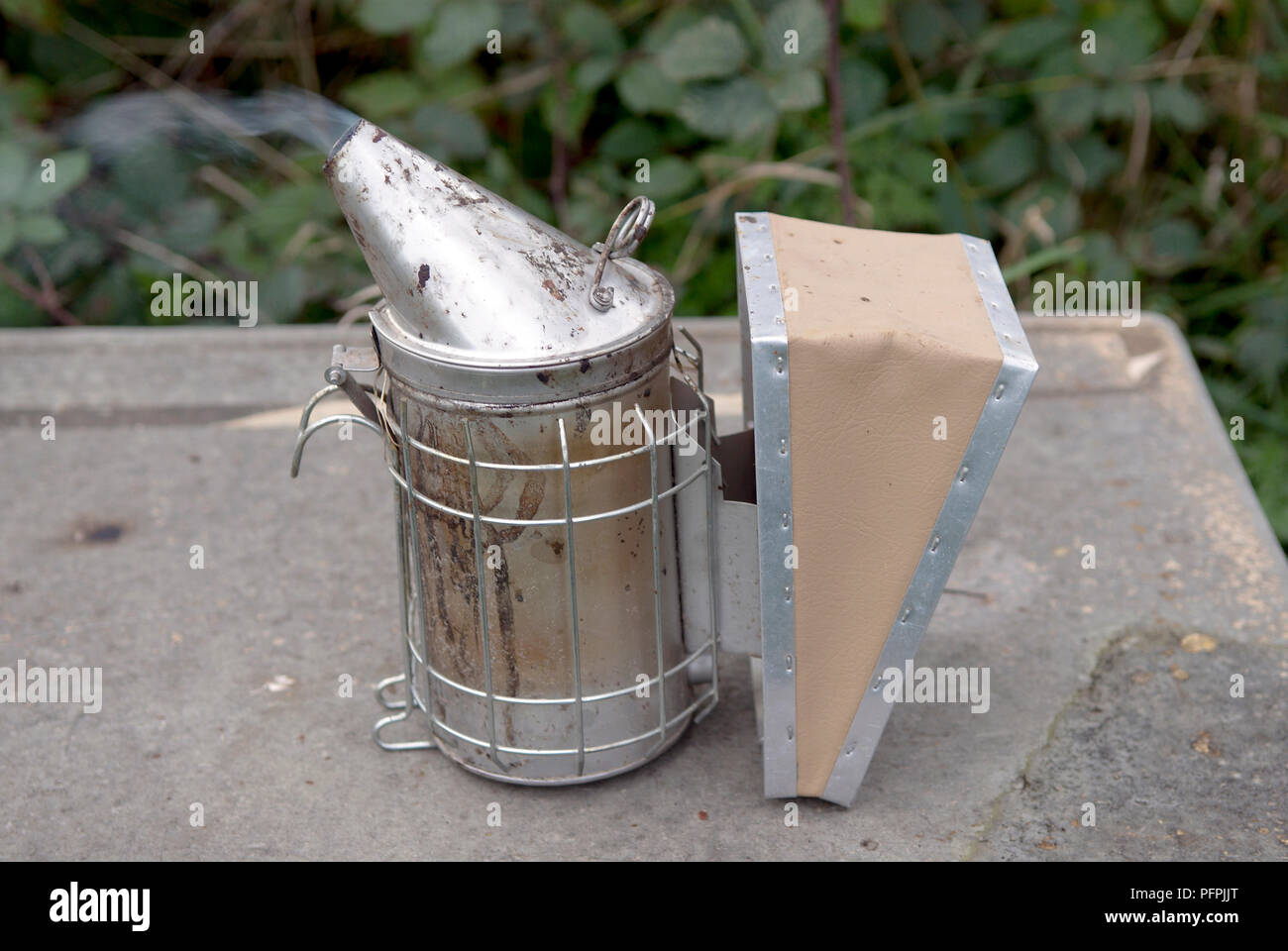 Bee smoker, close-up Stock Photo - Alamy