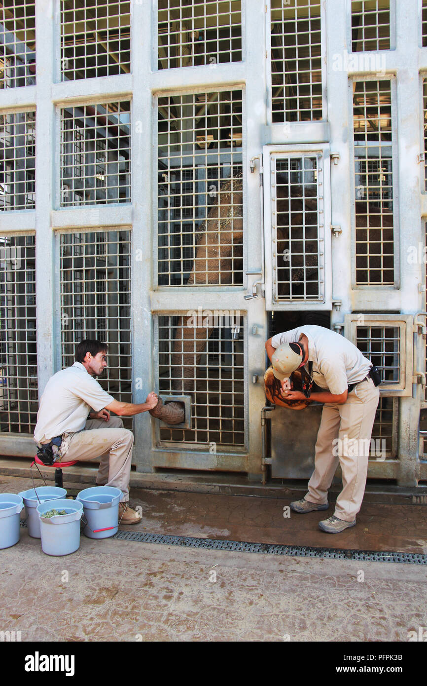 Zoo keeper cleaning hi-res stock photography and images - Alamy