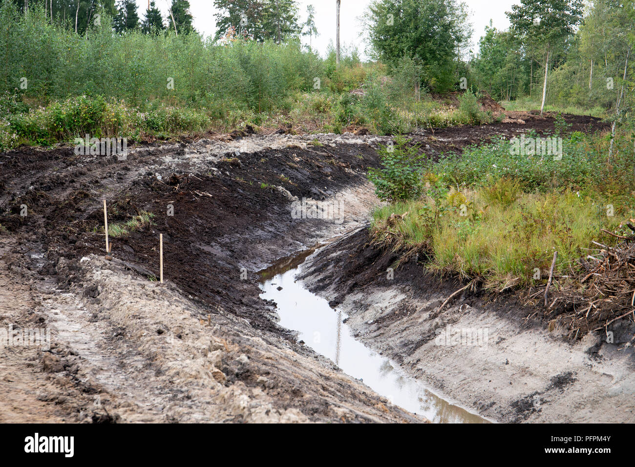 system of drainage ditch in the woods for water colleting Stock Photo ...