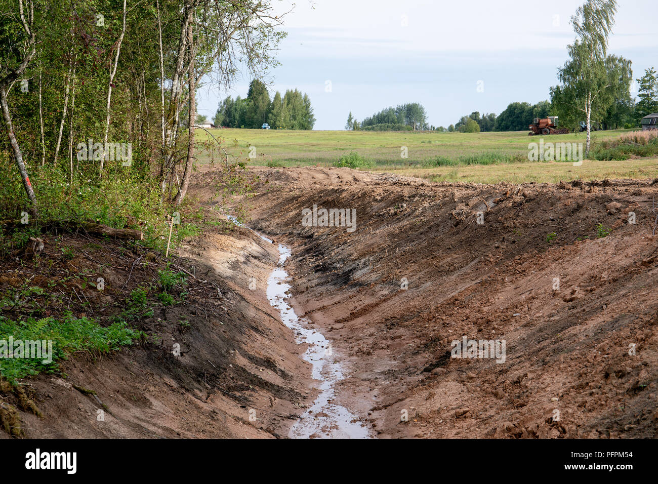 system of drainage ditch in the woods for water colleting Stock Photo ...