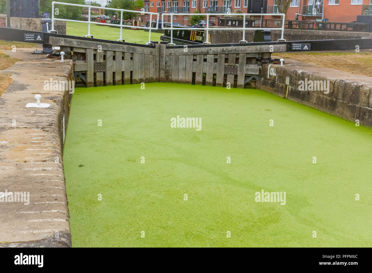 Clogged canal hi-res stock photography and images - Alamy