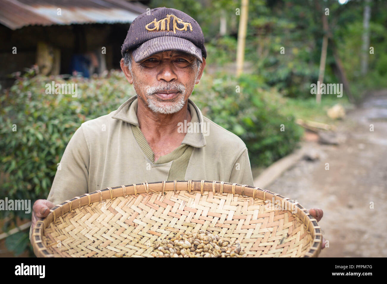 Toraja arabica coffee hi-res stock photography and images - Alamy