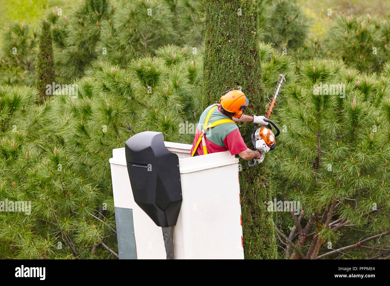 Equiped worker pruning a tree on a crane. Gardening works Stock Photo ...