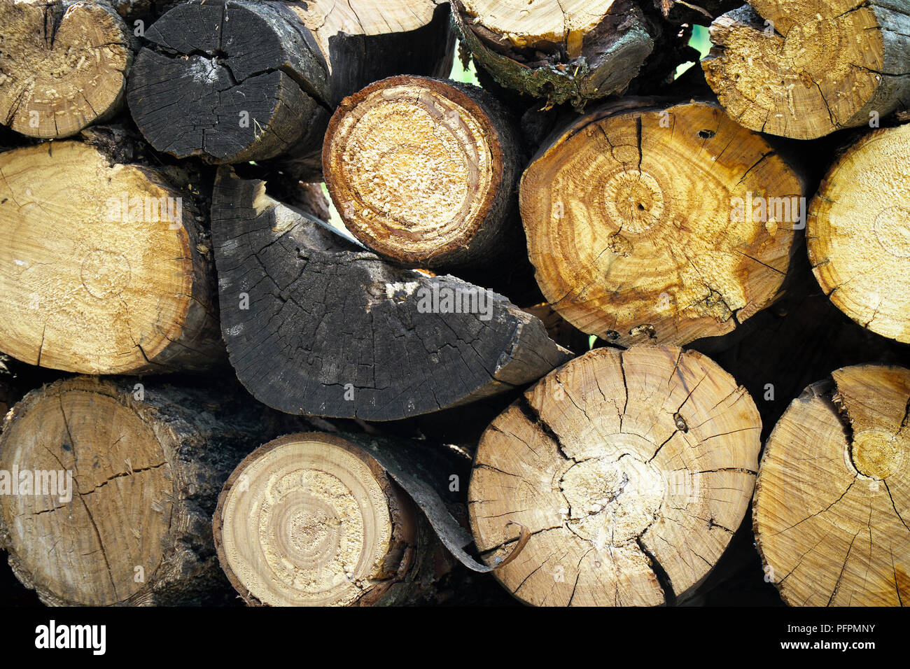 Dry Sawn firewood laid in woodpile Stock Photo - Alamy