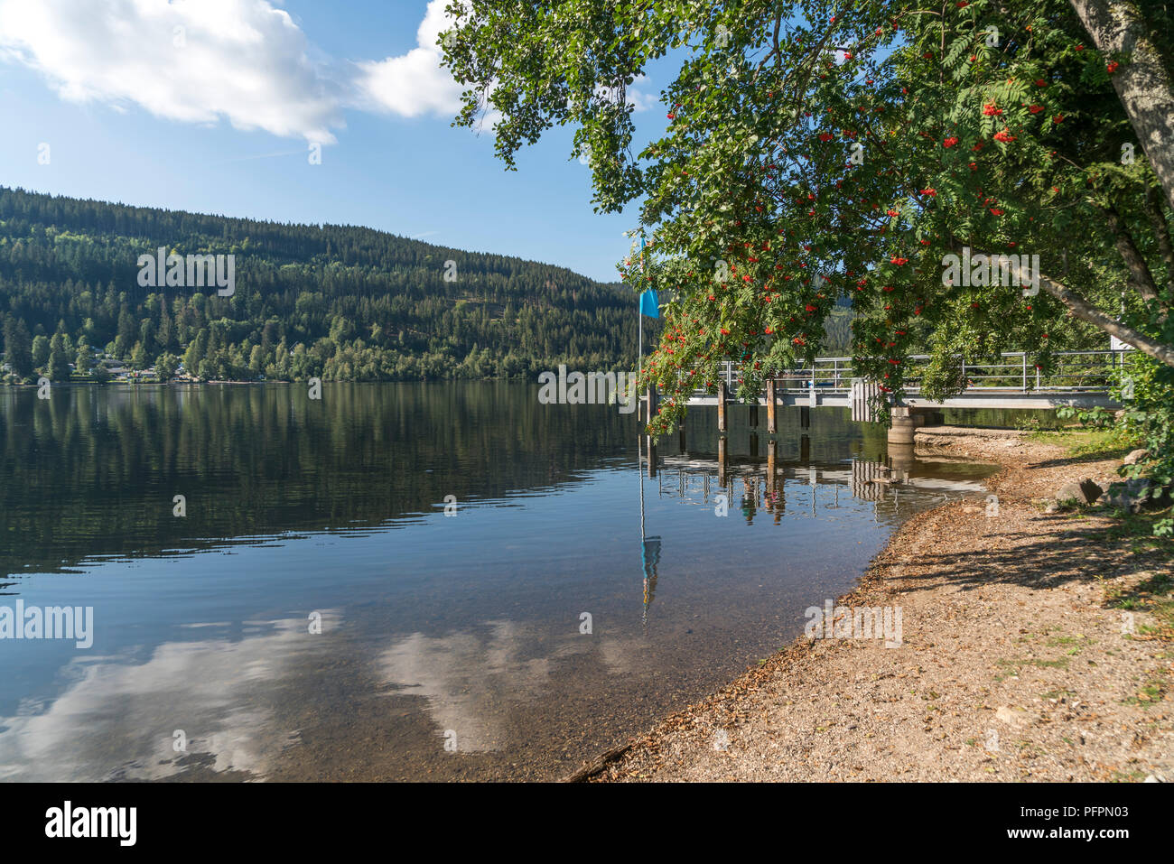 Titisee, Titisee-Neustadt, Schwarzwald, Baden-Württemberg, Deutschland ...