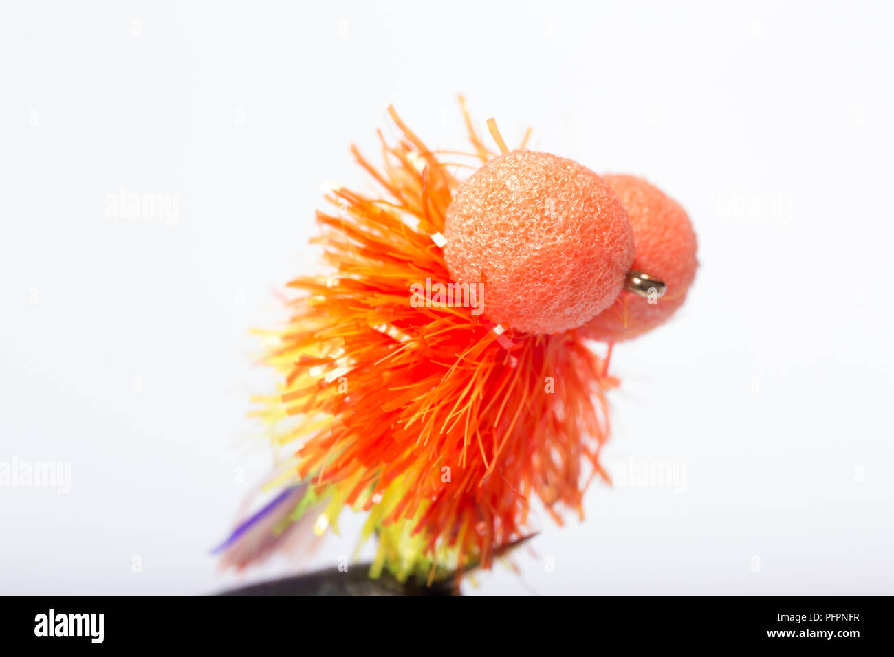 Booby fly hi-res stock photography and images - Alamy