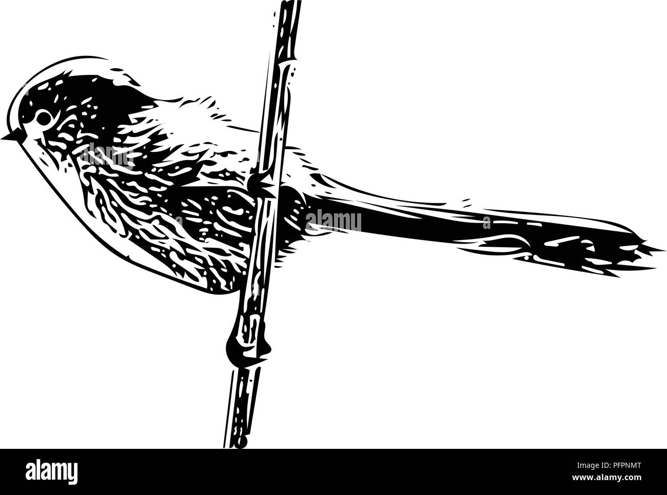 Black and white vector graphic of Long-tailed Tit perched on single ...