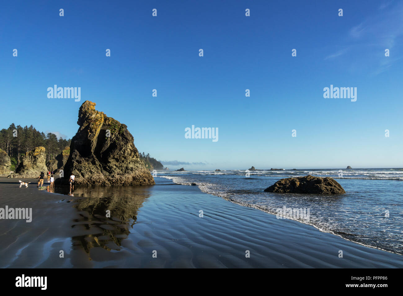 Washington pacific coast hi-res stock photography and images - Alamy