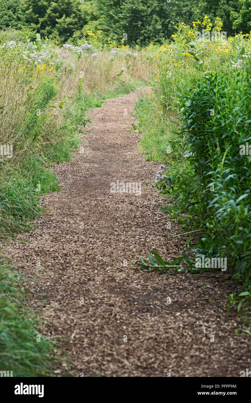 Wood chip trail in the National Wildlife sanctuary park Stock Photo - Alamy