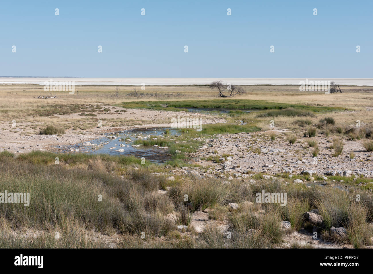 African savannah landscape beautiful hi-res stock photography and ...