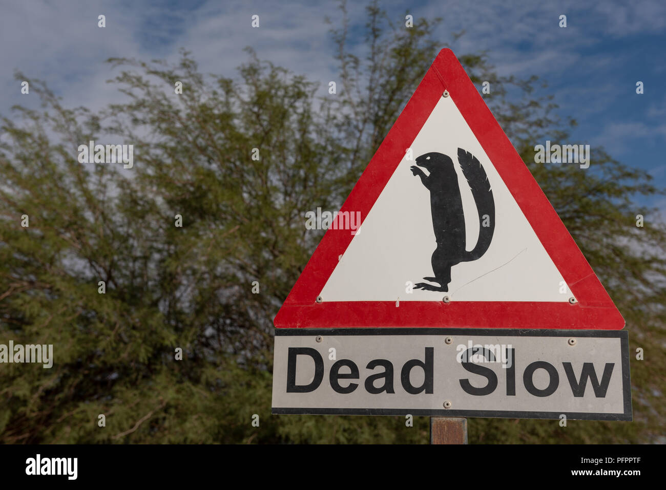 Funny dead slow warning sign post at the side of a road in namibia to ...