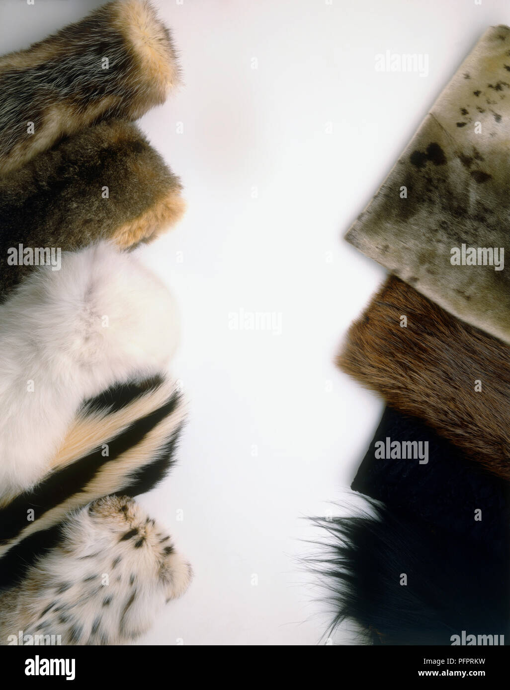 Hairseal fur, Beaver fur, Karakul fur, Colobus monkey fur, Opossum fur ...