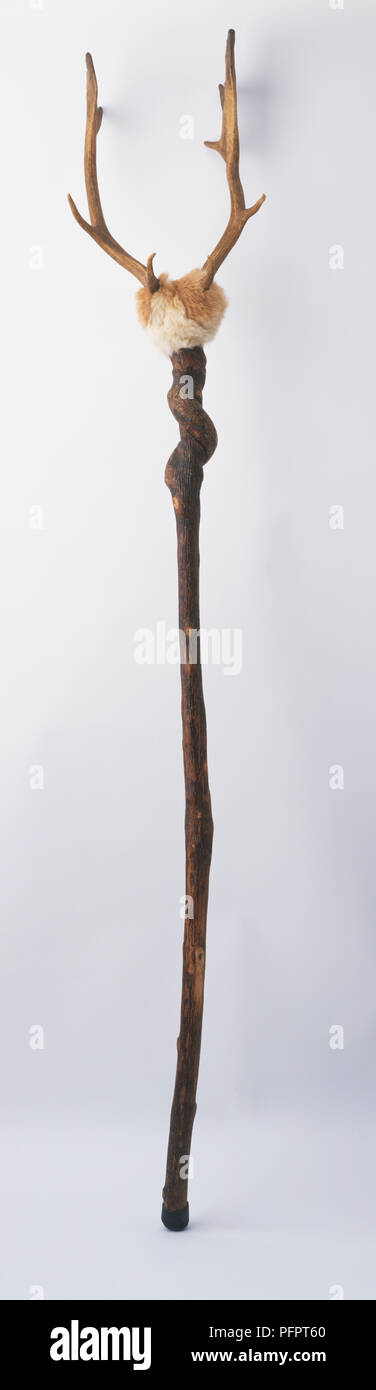 Wizard's staff made of antlers, front view Stock Photo - Alamy