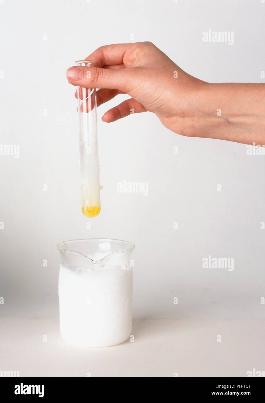 Test tube of chlorine condensed into liquid by dipping into jug of dry ...