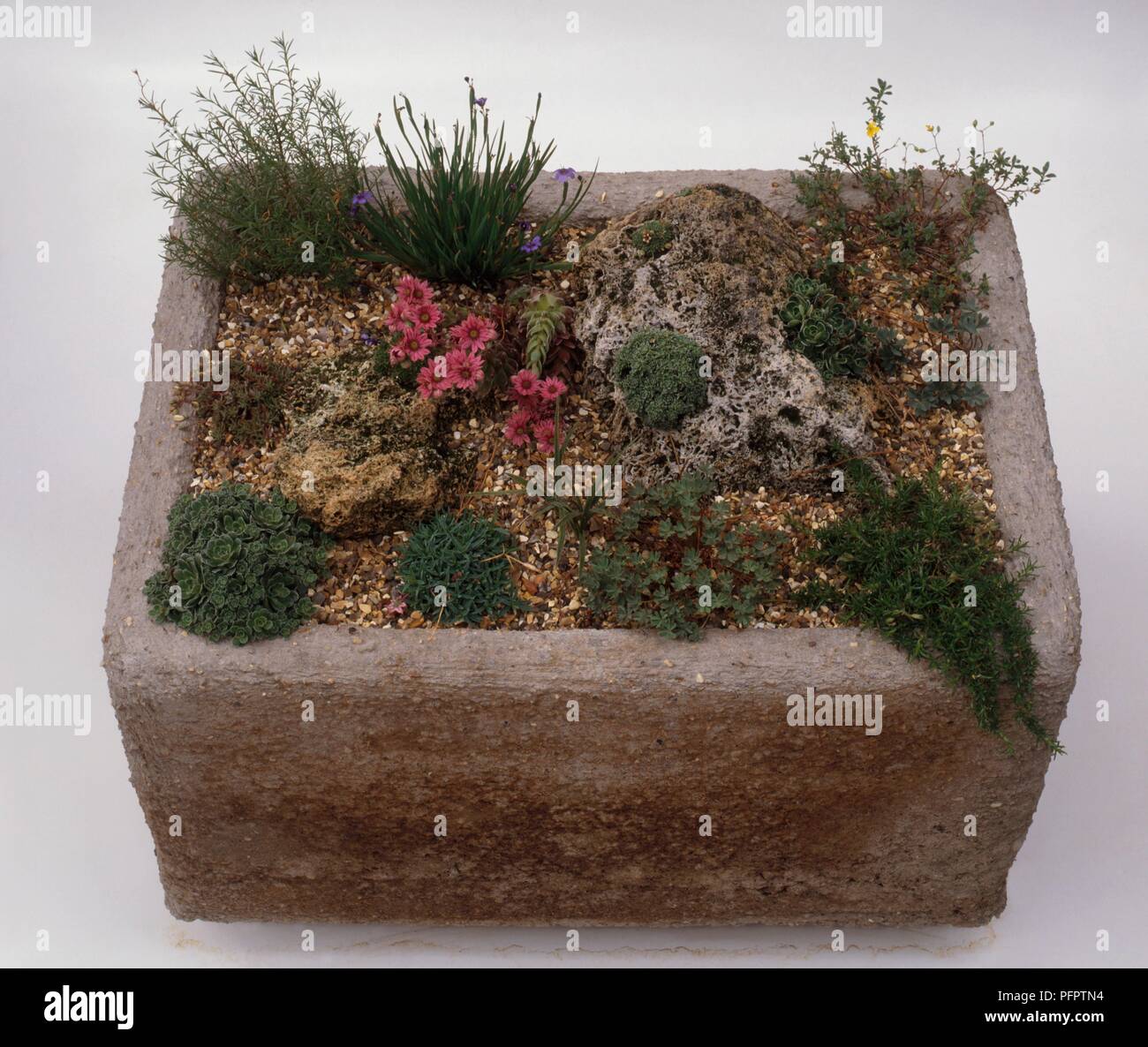 White trough hi-res stock photography and images - Alamy