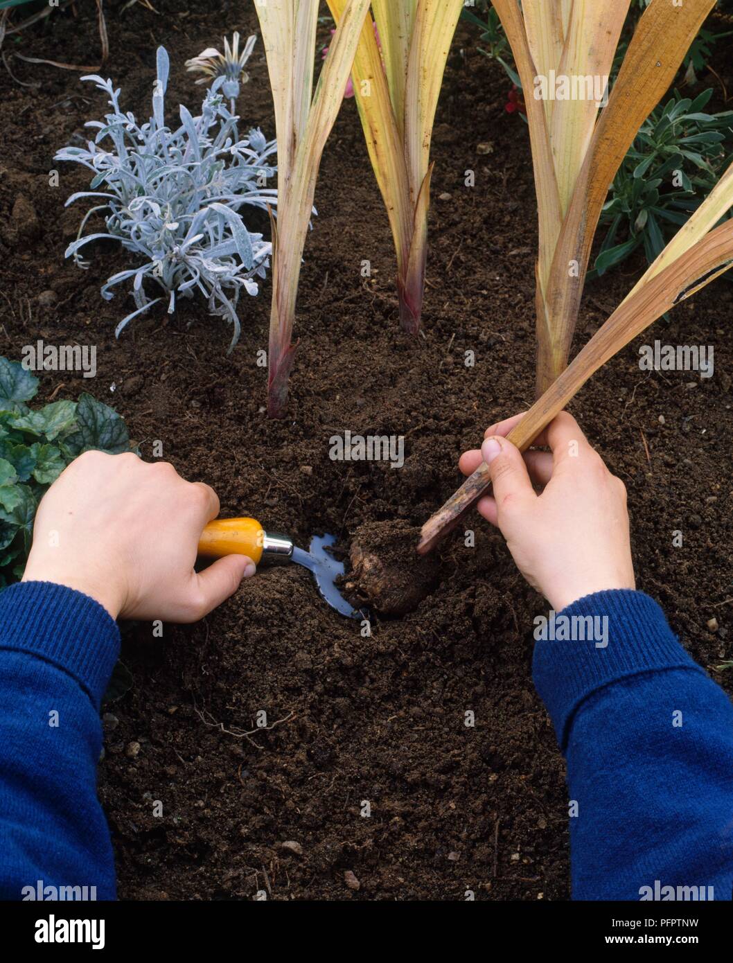 Lifting soil hi-res stock photography and images - Alamy