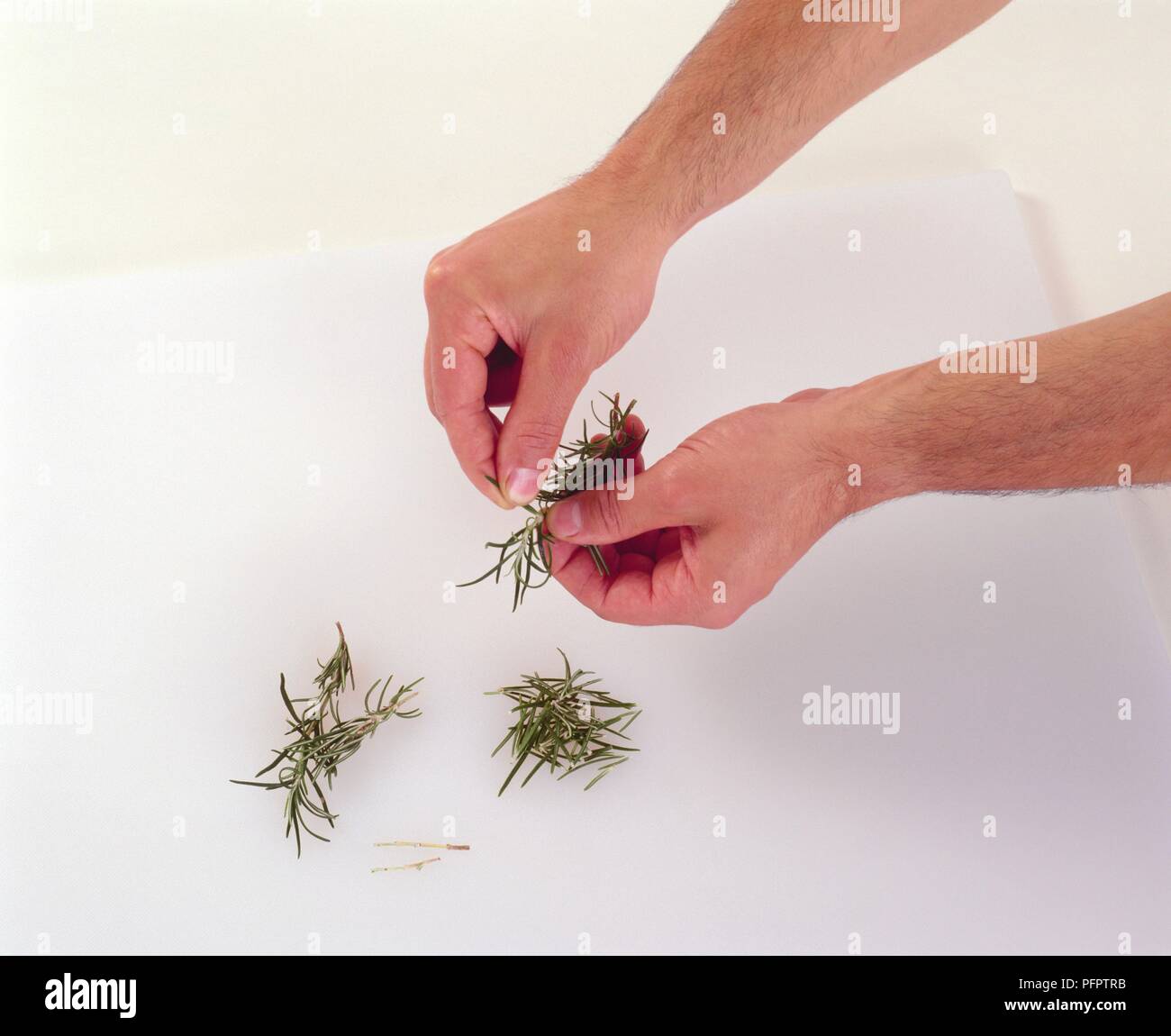 Rosemary Stalks High Resolution Stock Photography and Images - Alamy