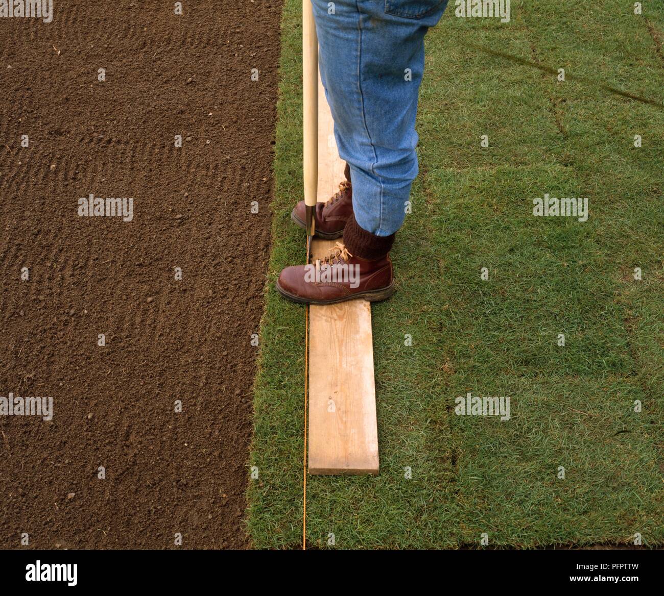 Person standing on plank along a taut string, marking lawn edge ...