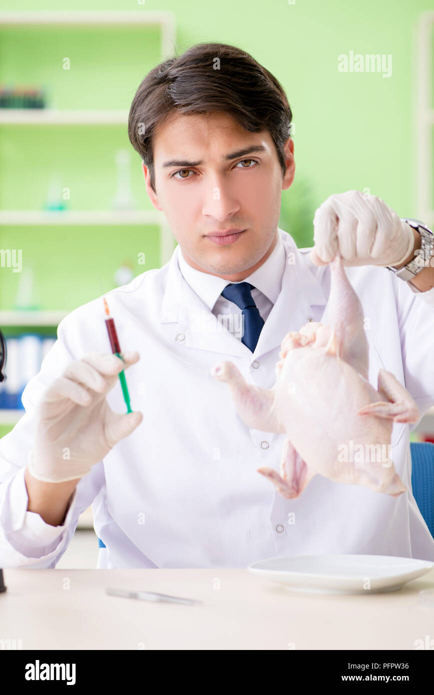 Lab assistant testing GMO chicken Stock Photo - Alamy