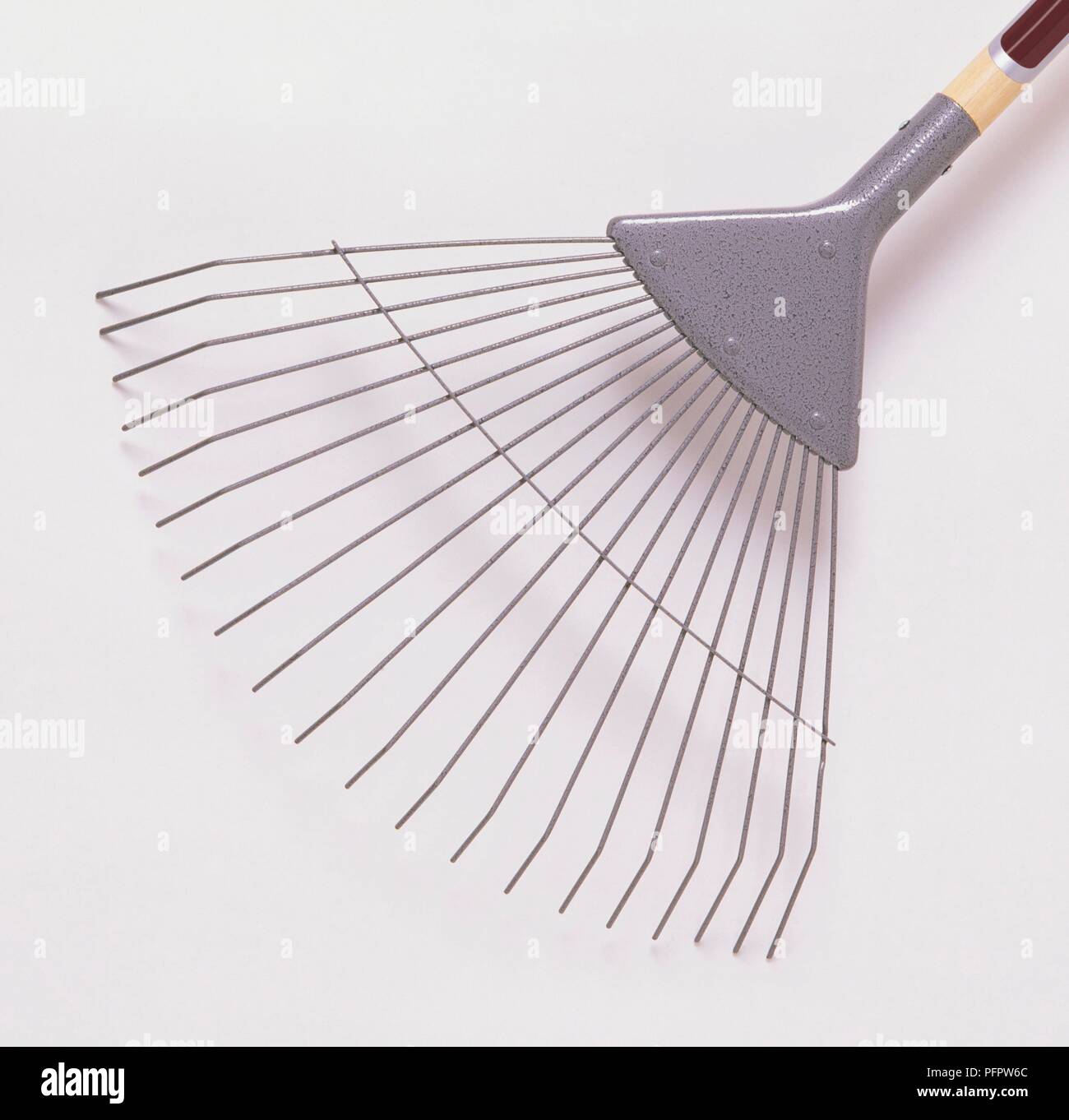 Head of spring-tine leaf rake Stock Photo - Alamy