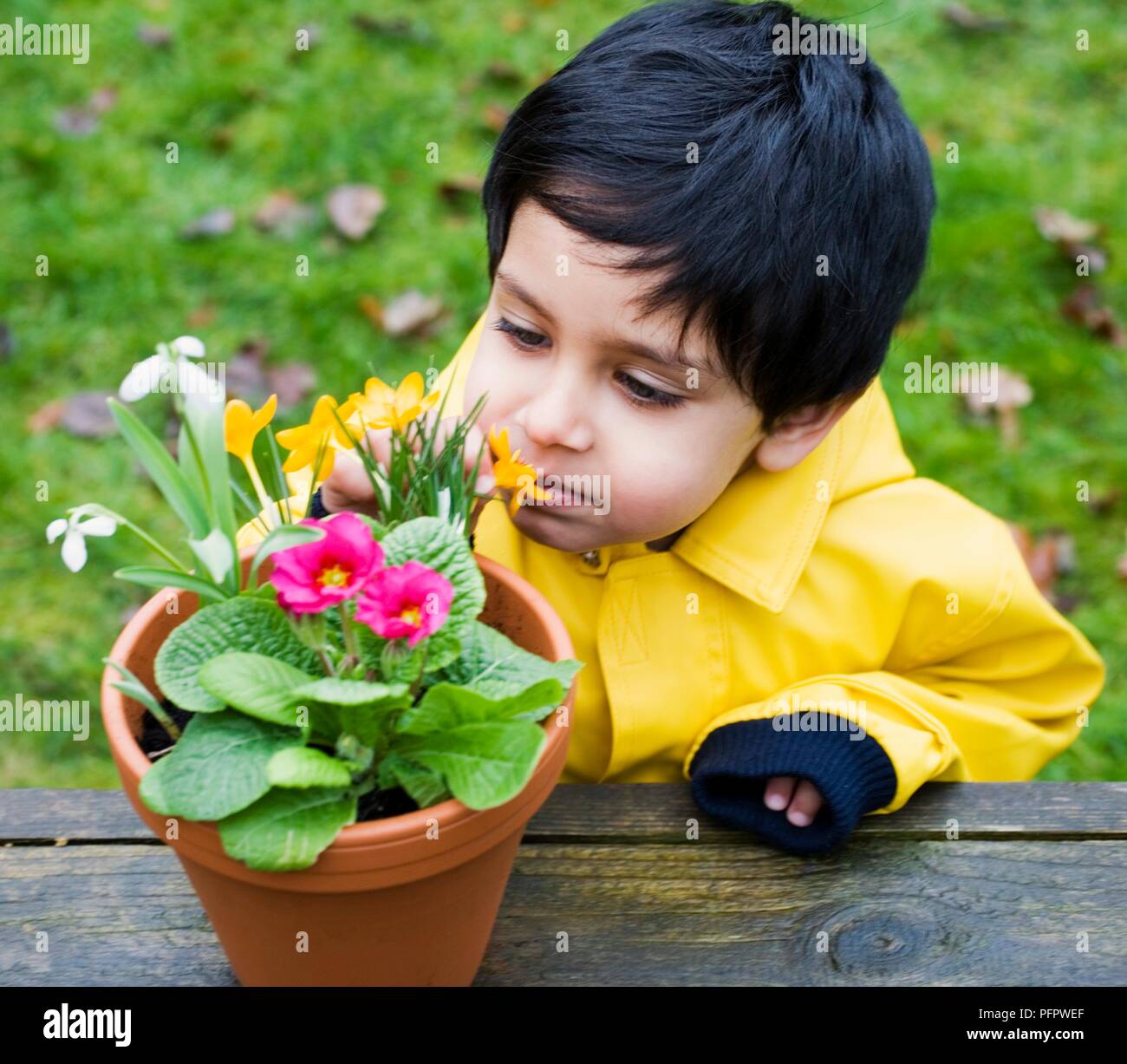 Boy smelling flowers in plant pot Stock Photo - Alamy