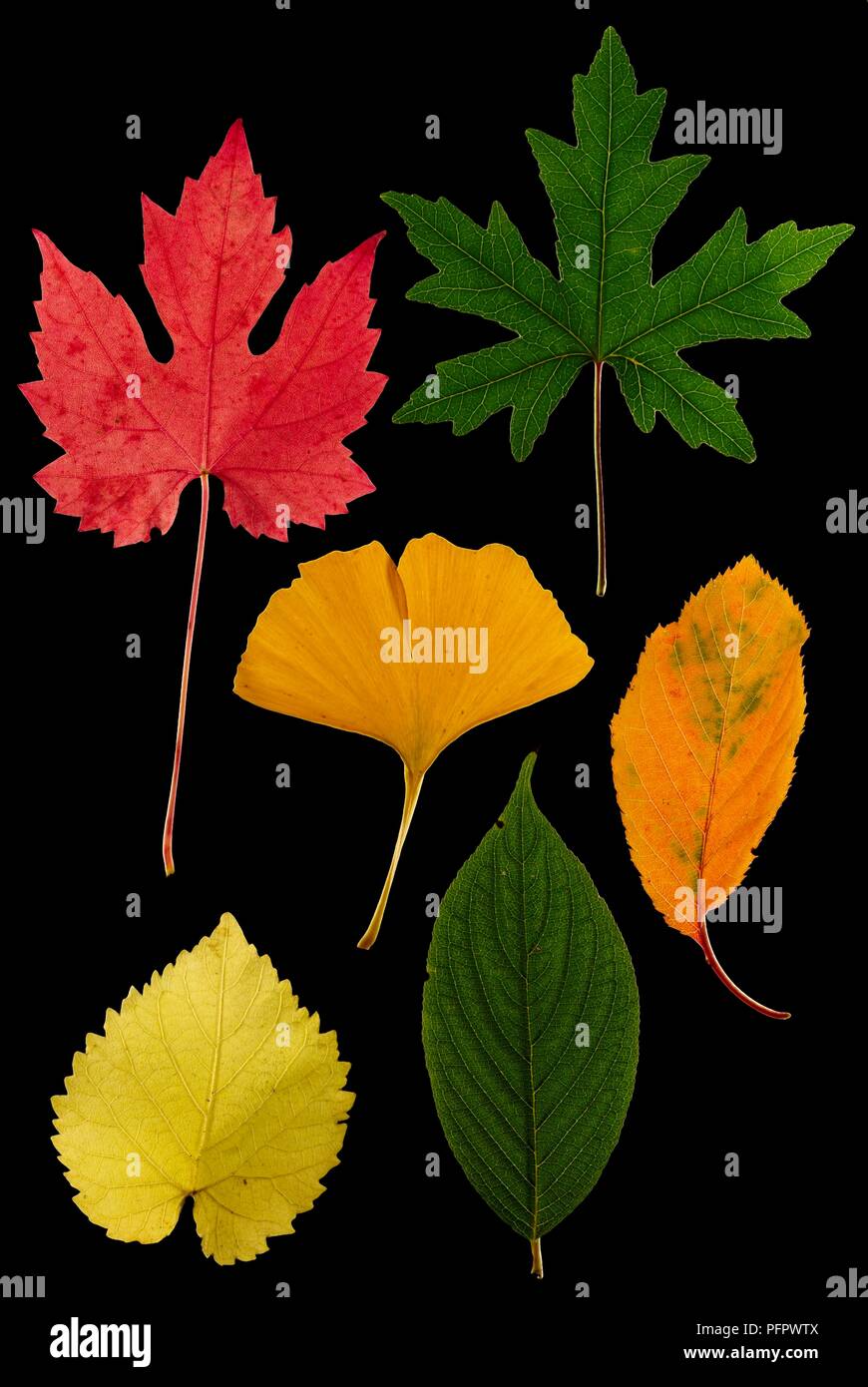 Group size hi-res stock photography and images - Alamy