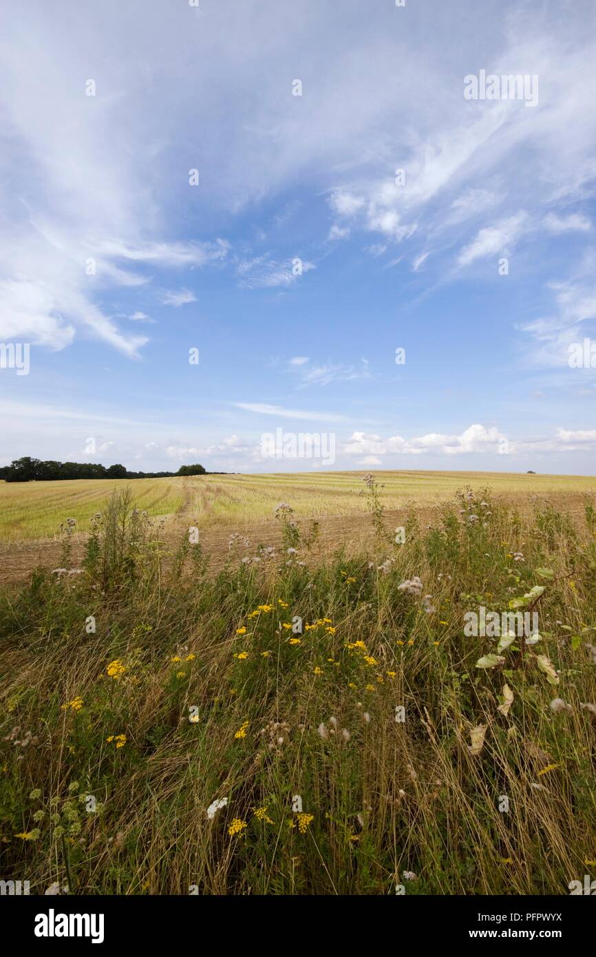 Lake muritzsee hi-res stock photography and images - Alamy