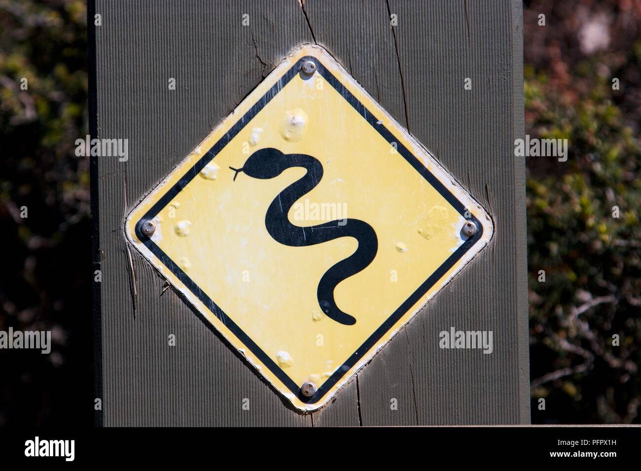 Snake warning sign australia hi-res stock photography and images - Alamy