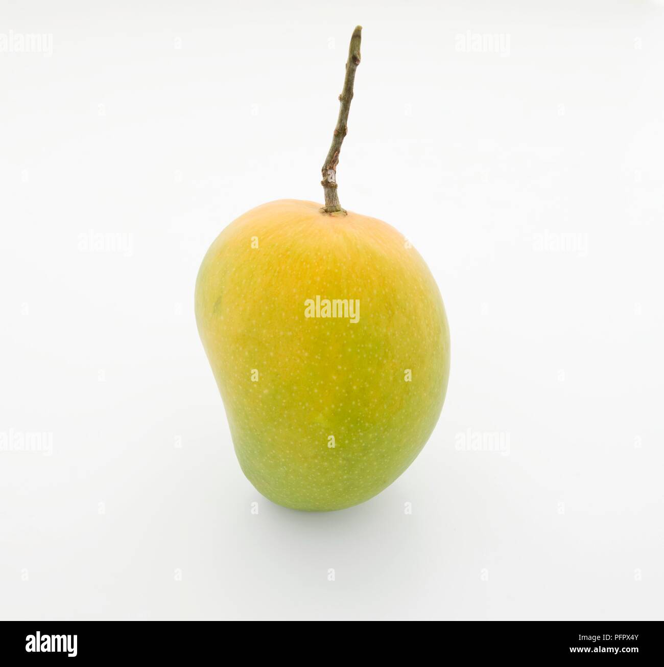 Mango cultivar hi-res stock photography and images - Alamy