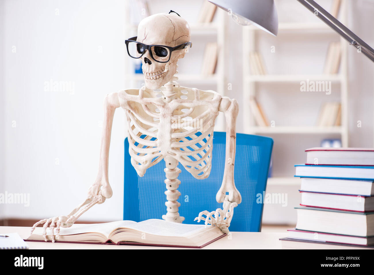 Student skeleton preparing for exams Stock Photo - Alamy