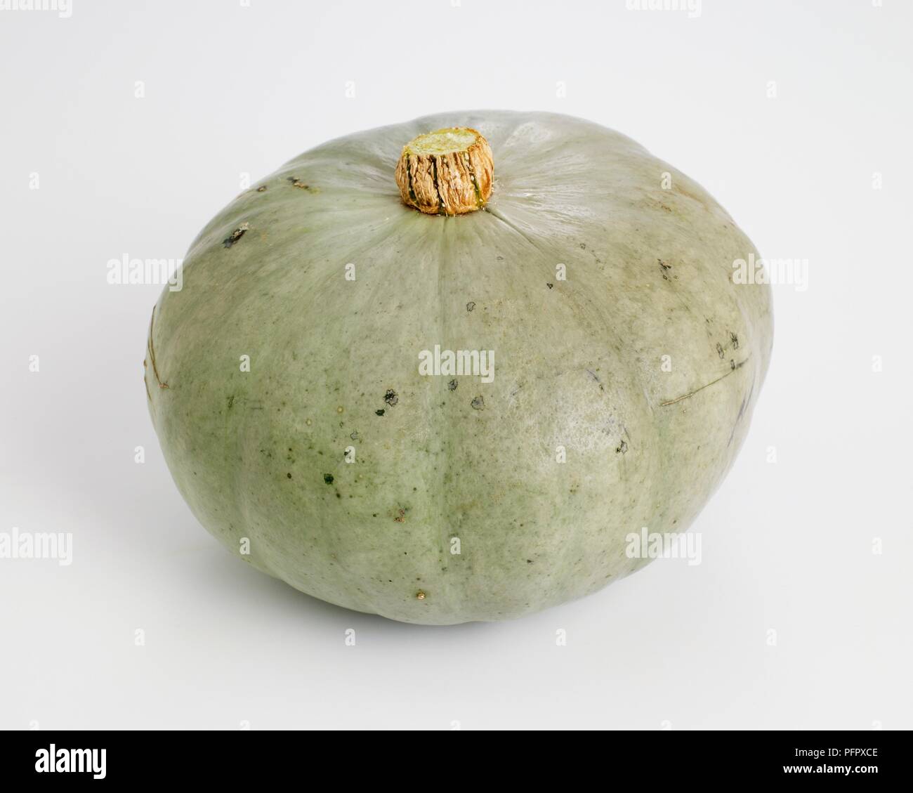 Crown Prince squash Stock Photo - Alamy