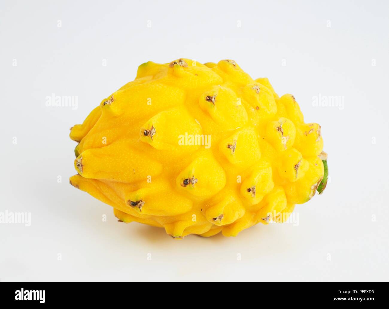 Yellow pitaya or dragon fruit Stock Photo - Alamy