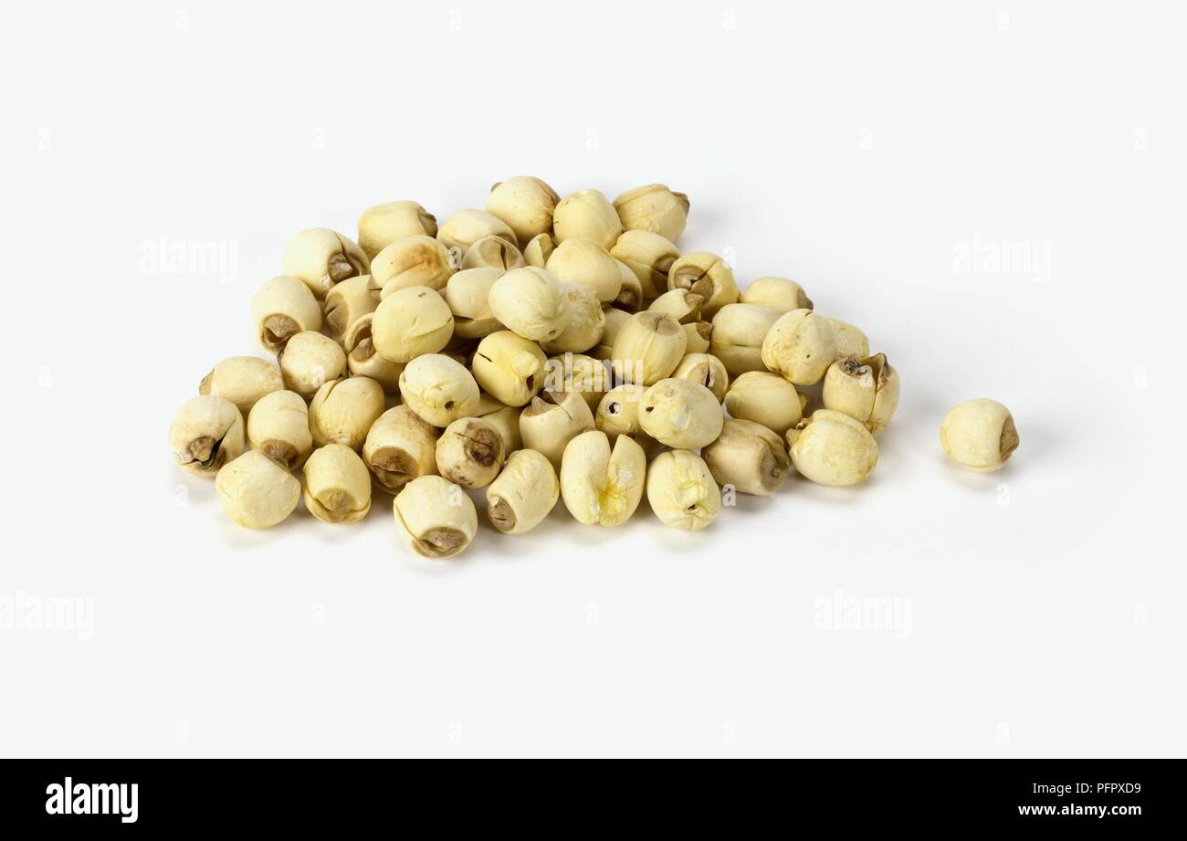 Dried lotus seeds hi-res stock photography and images - Alamy