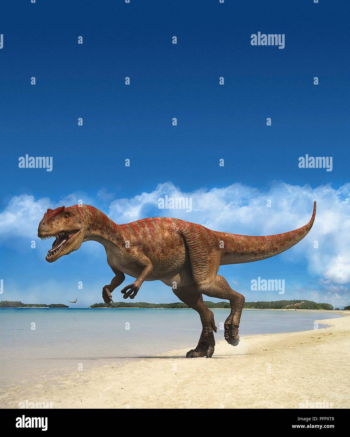 Allosaurus on beach in prehistoric landscape Stock Photo - Alamy
