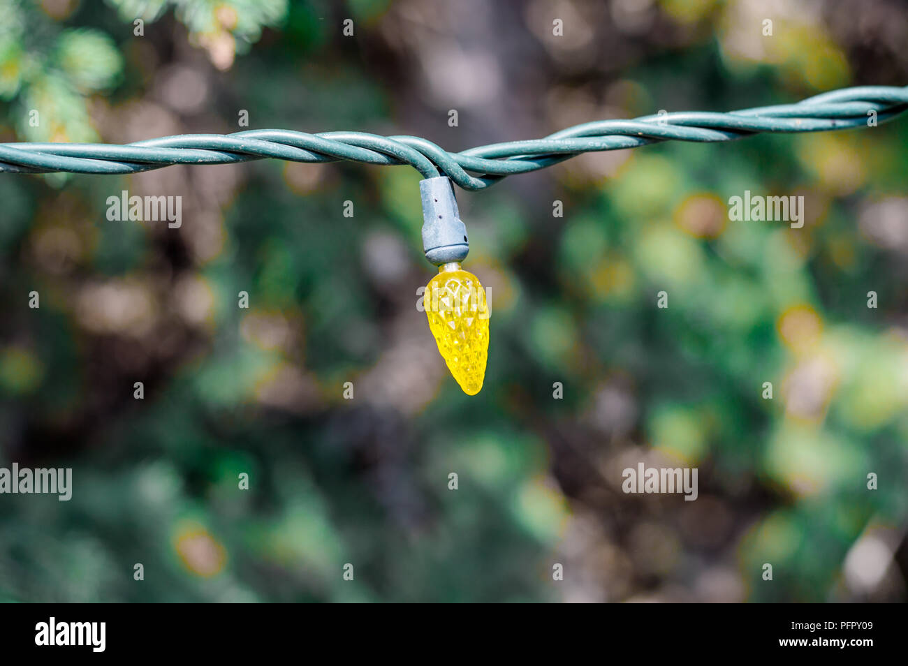 Christmas bulb hi-res stock photography and images - Alamy