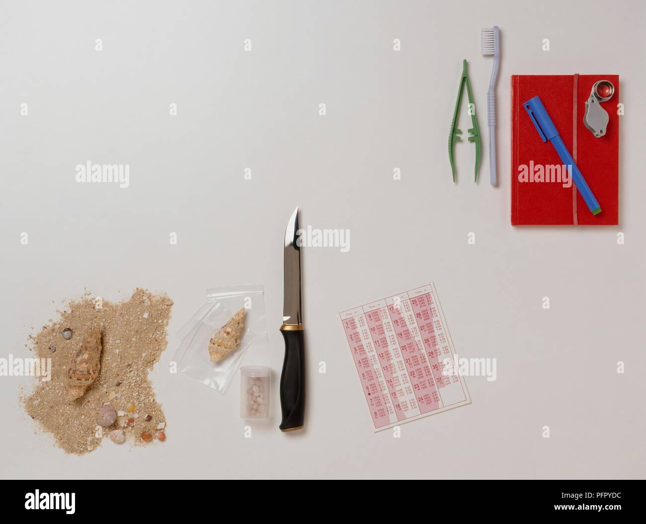 Making shells hi-res stock photography and images - Alamy