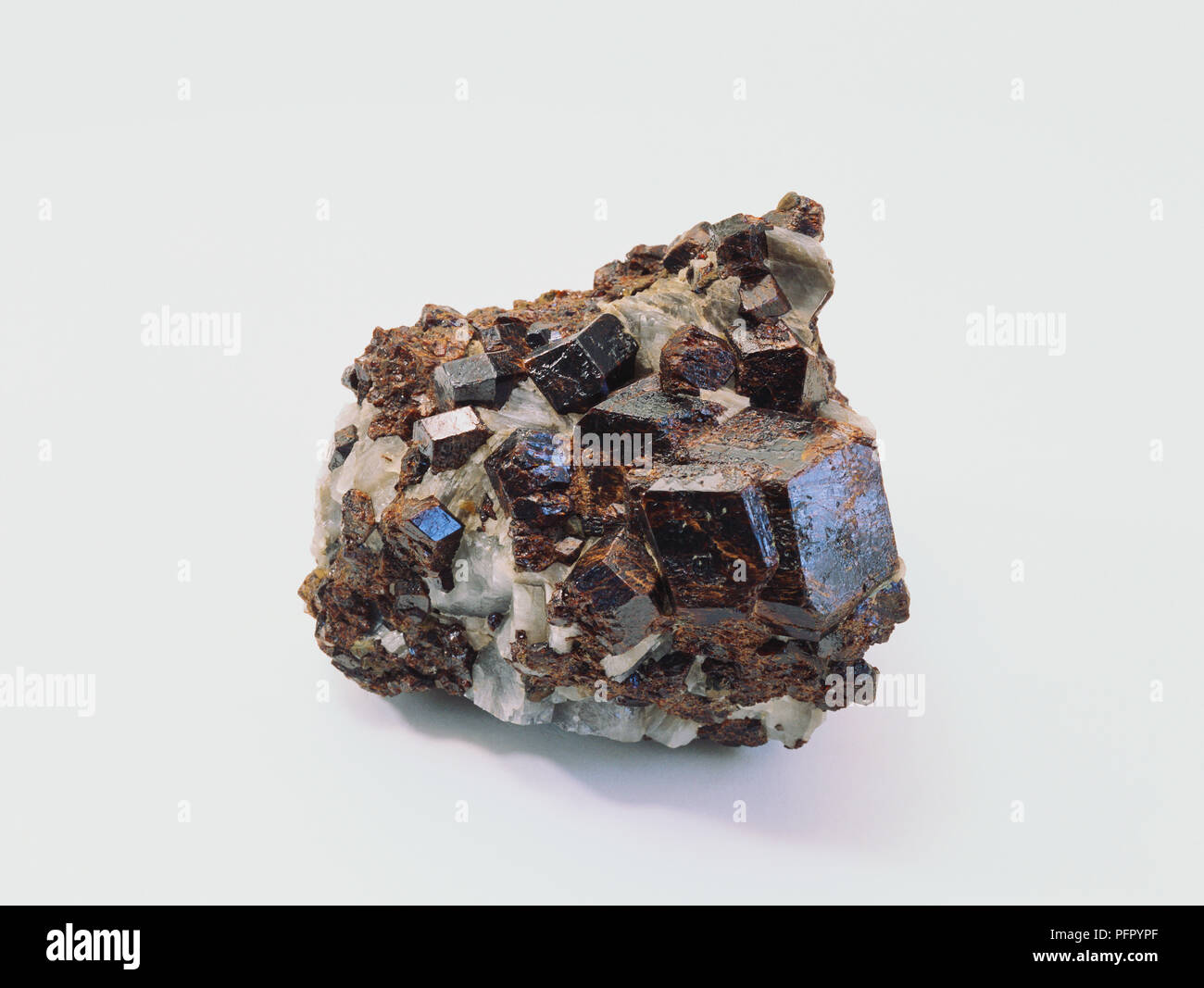 Well formed hi-res stock photography and images - Alamy