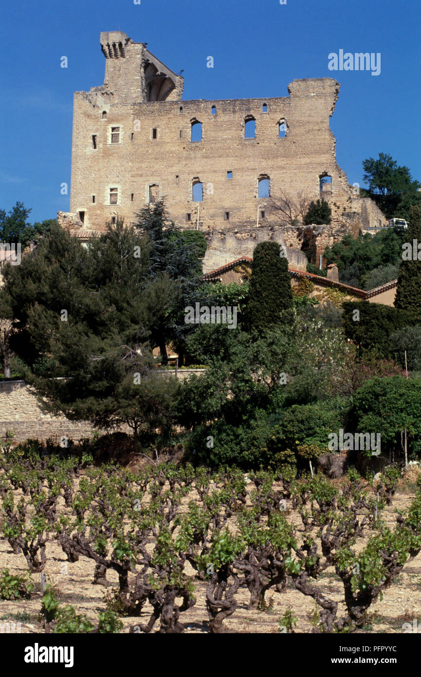 France, Provence, Vaucluse, Chateauneuf-du-Pape, castle ruin Stock ...