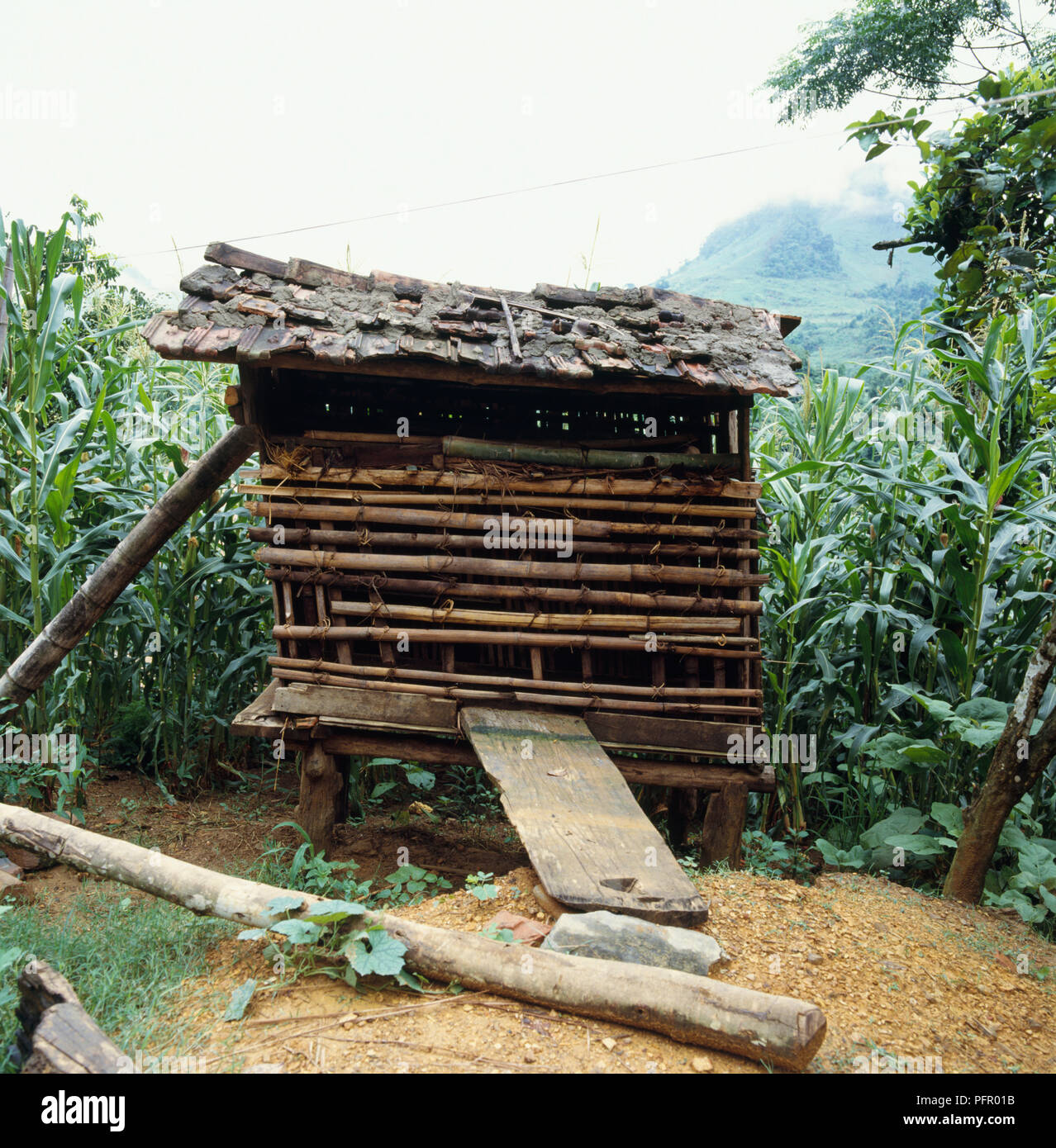 Chicken hutch hi-res stock photography and images - Alamy