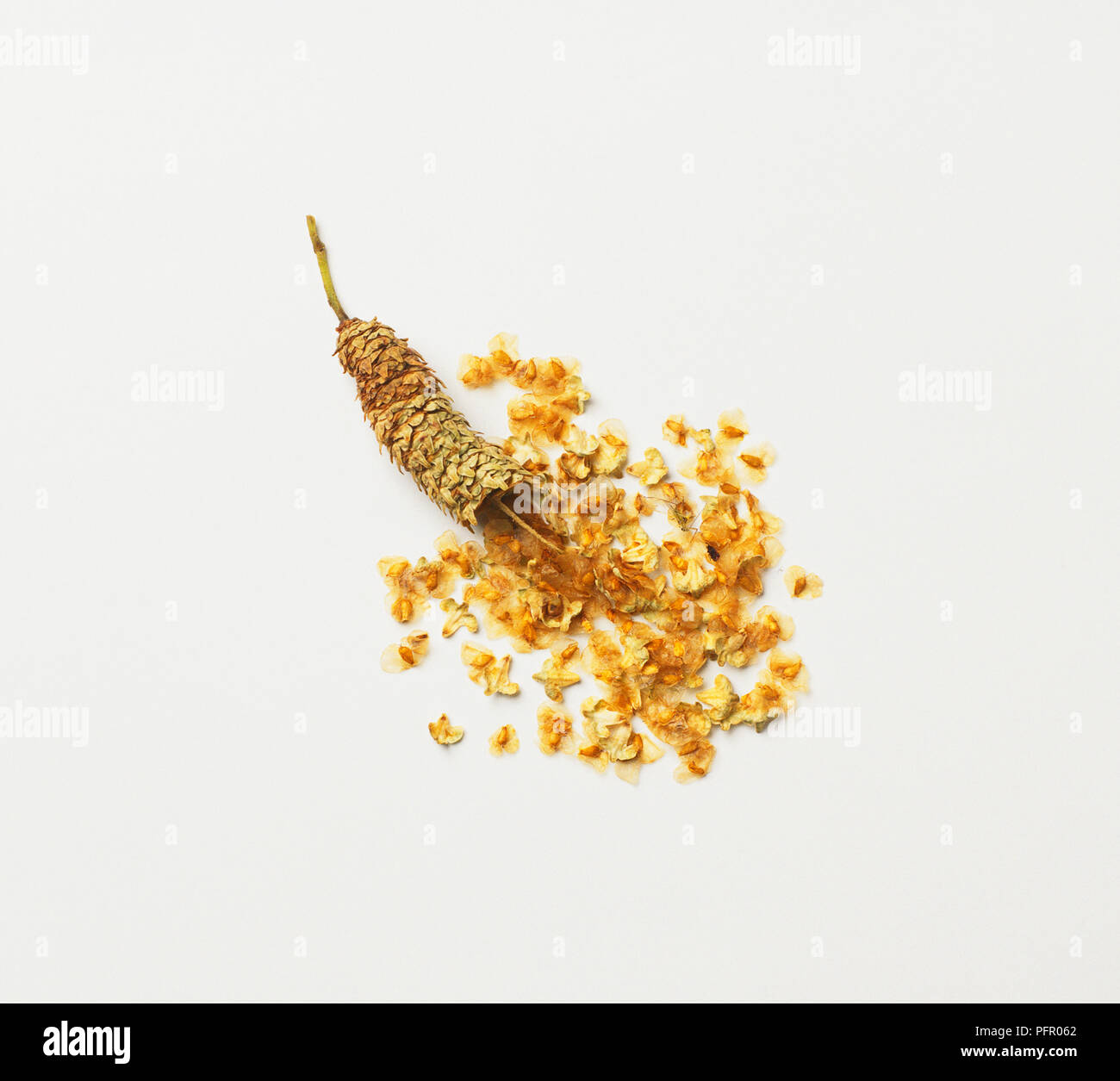 Scattered seeds cut out hi-res stock photography and images - Alamy