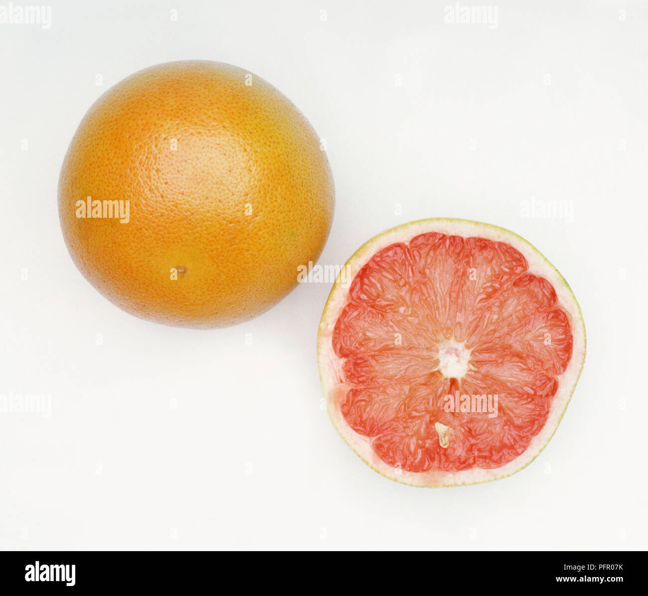 Citrus paradisi 'Thompson' (Thompson grapefruit, syn Pink Marsh ...