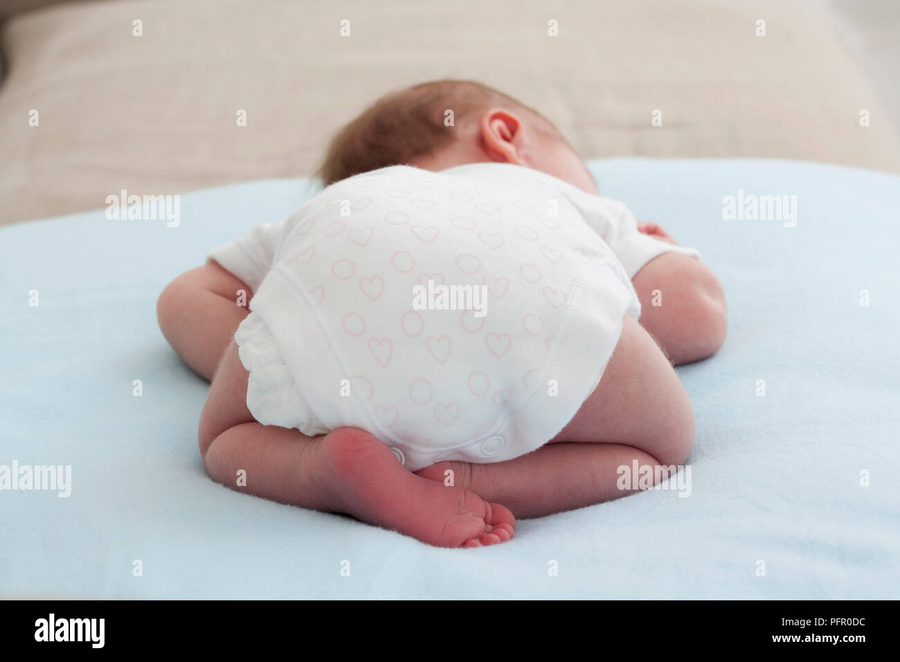 Baby lying on front, rear view Stock Photo - Alamy