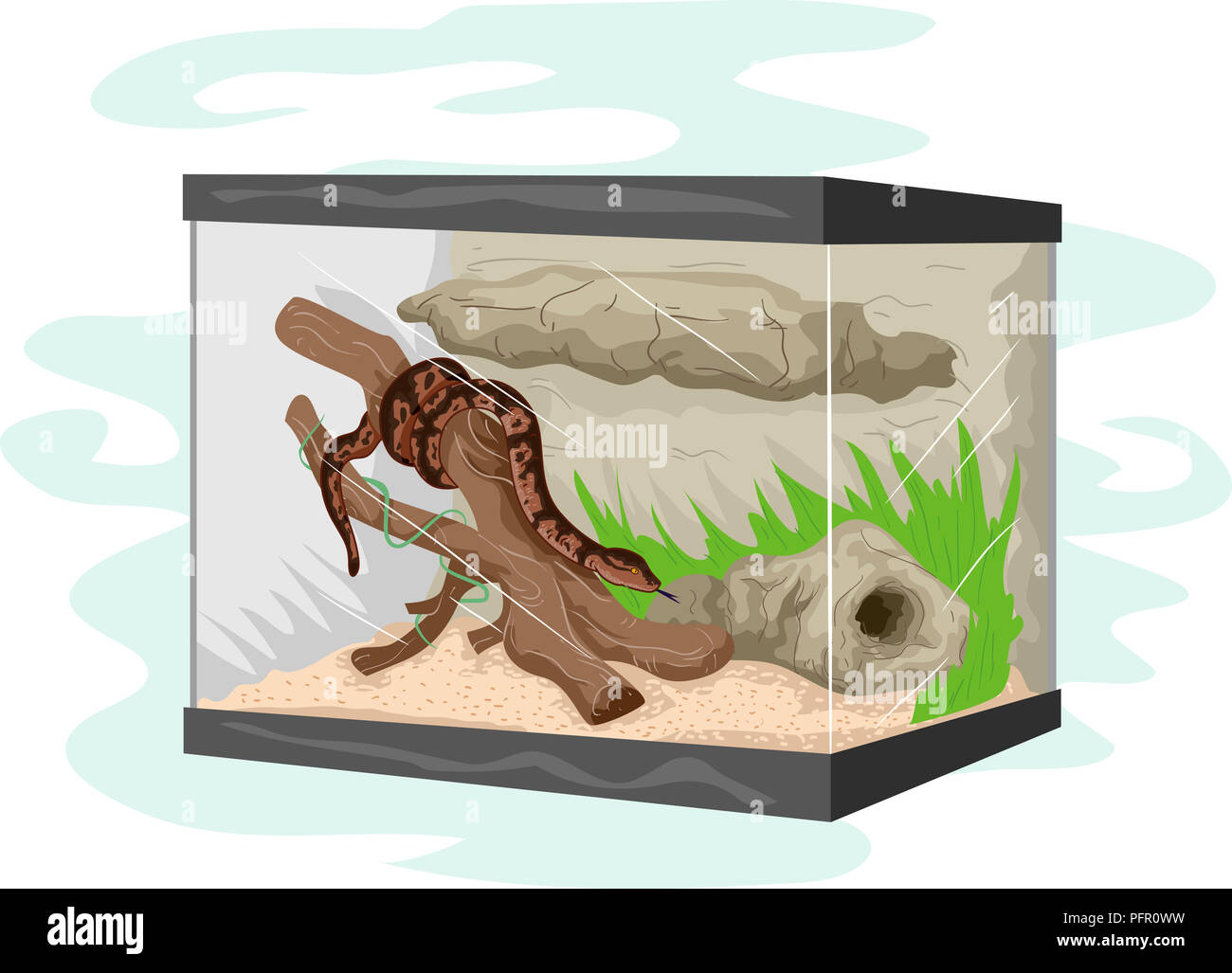 Illustration of a Snake Inside a Terrarium Stock Photo - Alamy
