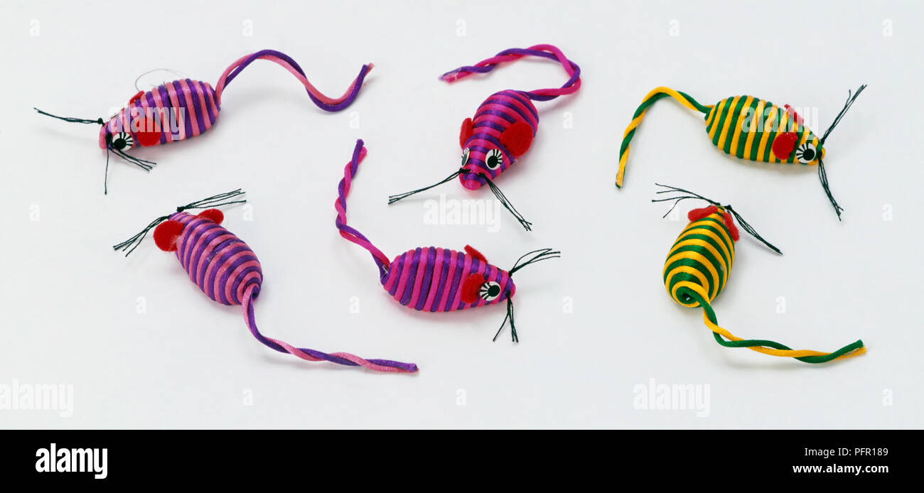 Toy mice for kittens to play with Stock Photo - Alamy