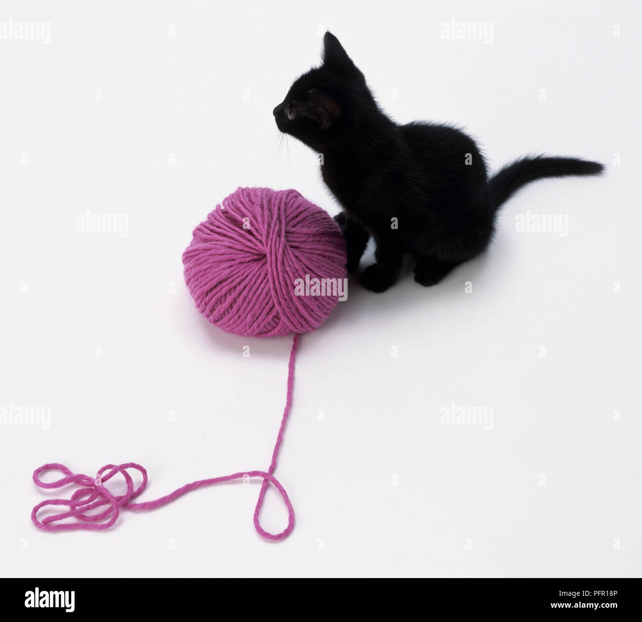 Black wool hi-res stock photography and images - Alamy