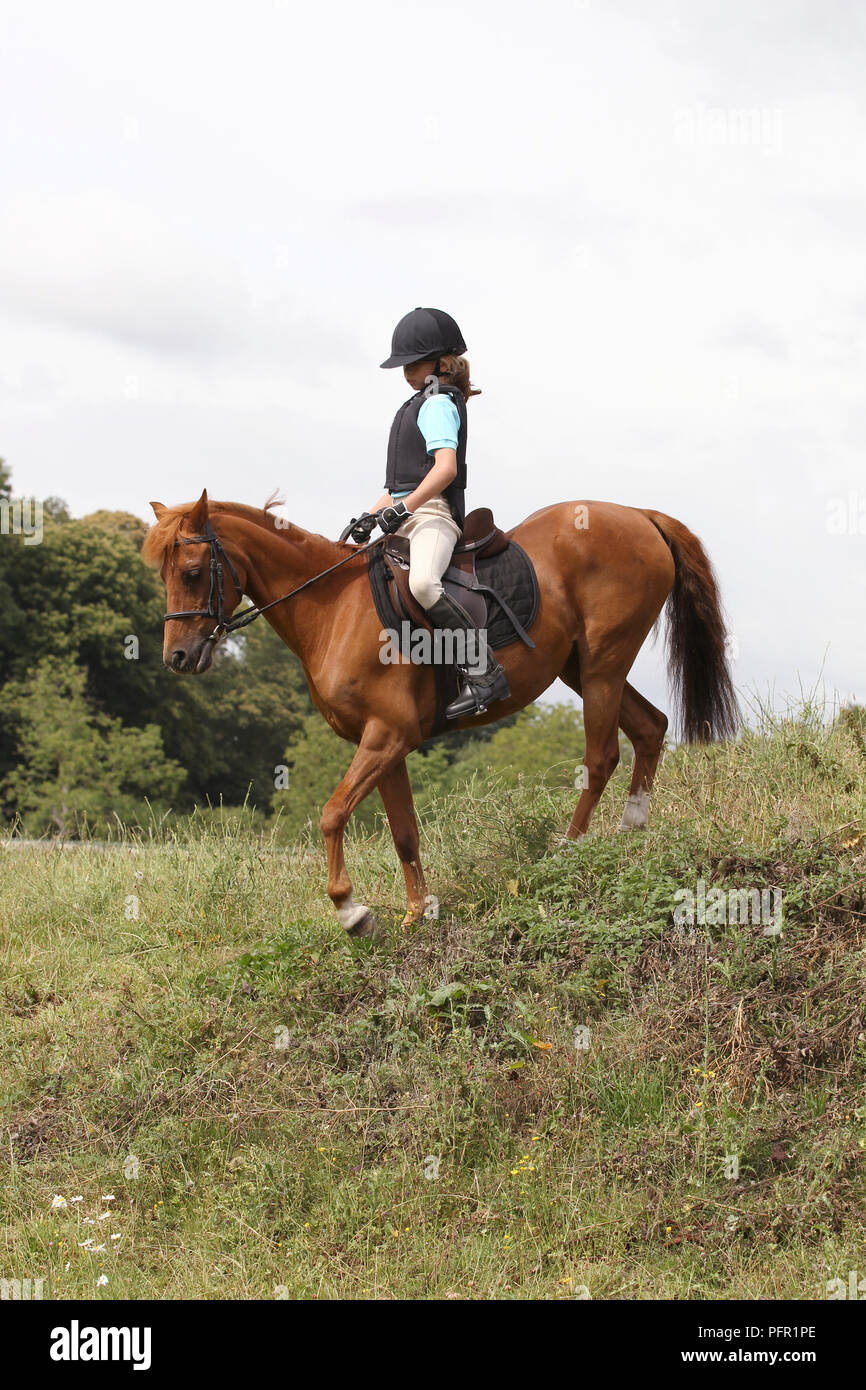 Girl on horse going down a slope Stock Photo - Alamy