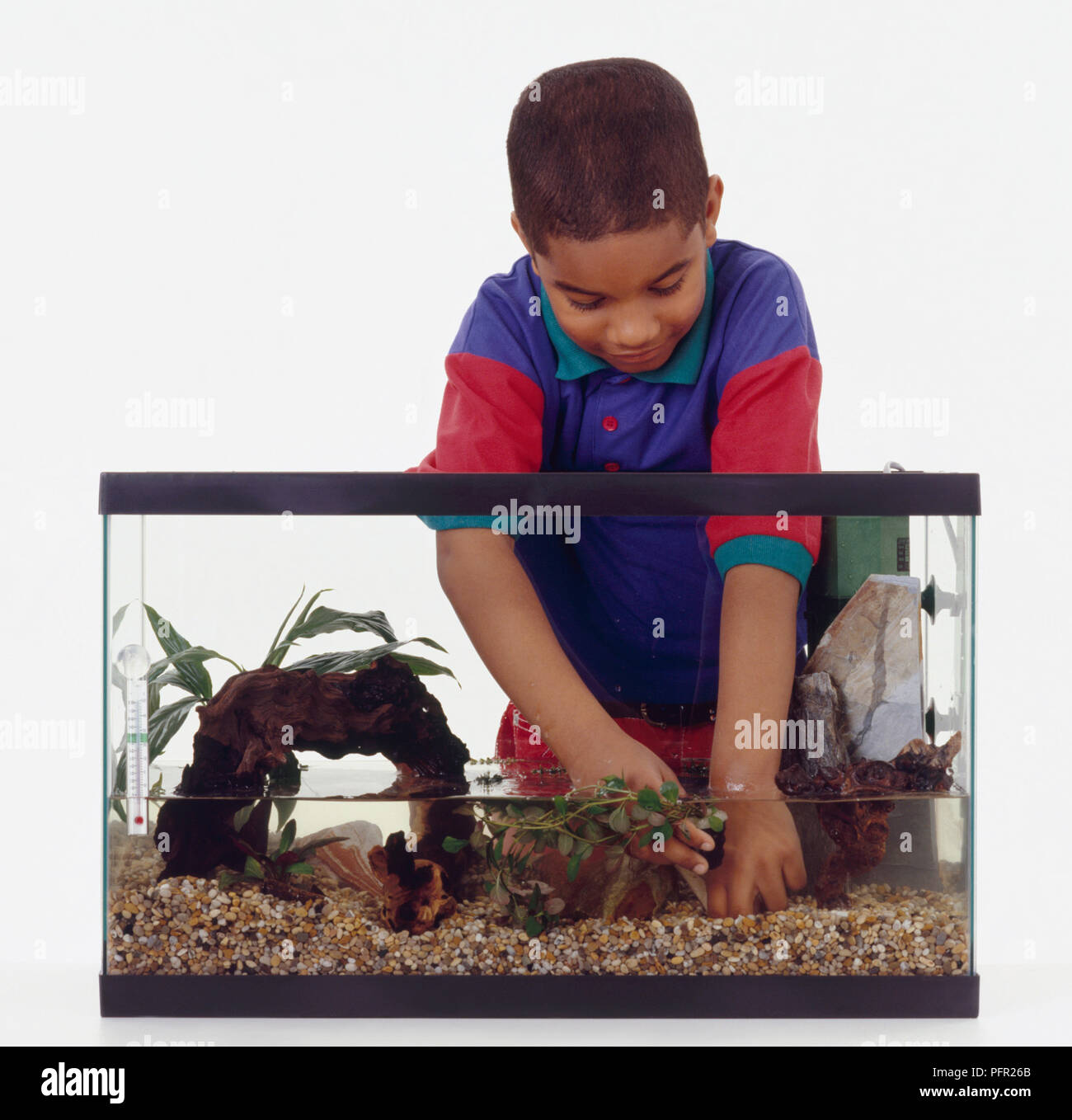 Aquascaping hi-res stock photography and images - Alamy