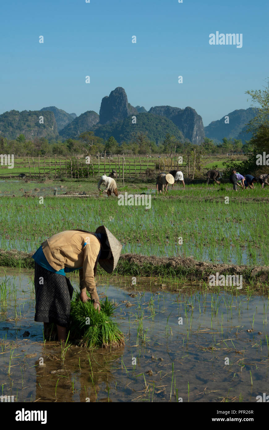 Khammouane province hi-res stock photography and images - Alamy